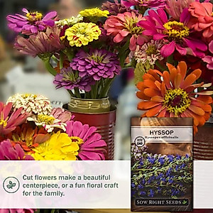 Sow Right Seeds - Anise Hyssop Seed for Planting - Medicinal Herb to Plant in Your Home Garden - Attracts Pollinators - Stunning Purple Flowers - Non-GMO Heirloom Seeds - Great Gardening Gift