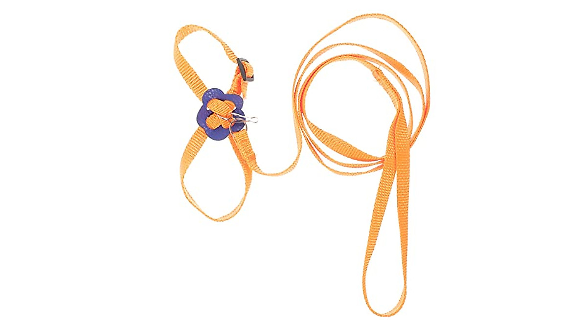 Adjustable Lizard Harness & Leash - Comfort & Style