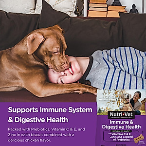 Nutri-Vet Immune & Digestive Health Biscuits for Dogs - Immune Health Dog Biscuits - Prebiotic & Postbiotic Dog Treat - Tasty Digestive Dog Biscuits - 16 oz