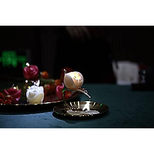 Zestler Bundle Stainless Steel Wax Removal Blade + 6 White Low Temperature Body Safe Rose Candle Refills