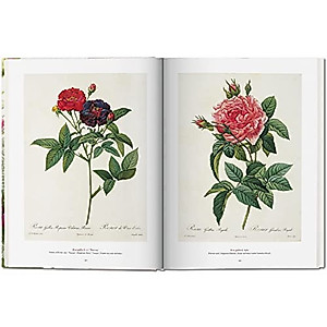 Redouté: The Book of Flowers / Das Buch de Blumen / Le livre des fleurs