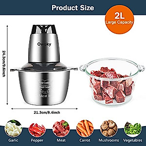 Food Processors Electric, Meat Grinder 2L Stainless Steel Meat Blender Food Chopper for Meat, Onion, Vegetables with 2pcs Bi-Level Blades, 2 Speed, 500W, 8 Cup (Meat Grinder with Single bowl)