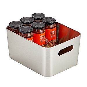 mDesign Steel Metal Storage Container Bin Basket, Handle - Kitchen Pantry, Cabinet, Fridge, Drawers, Freezer Organization - Food/Snack Holder Crates, 9" Wide, Mirri Collection, 2 Pack, Brushed Chrome