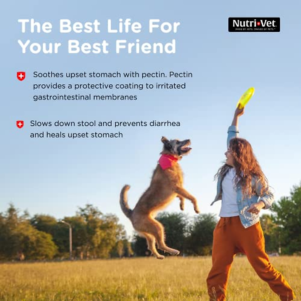 Nutri-Vet Anti-Diarrhea Liquid for Dogs - Helps Sooth Upset Stomach & Stop Diarrhea - Veterinarian Formulated - 4 oz