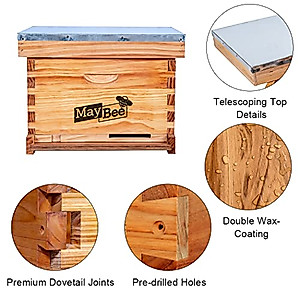 MayBee Beehive Starter Kit 10-Frame Bee Boxes and Frames Starter Kit Wax Coated Bee Hives and Supplies Starter Kit Including Beekeepig Tools Kit with Beekeeping Veil