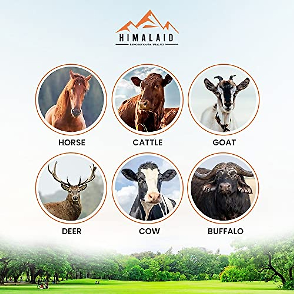 Himalaid Himalayan Salt Lick on Rope for Horses, Cattles, and Other Livestock, 2.5 LBS Each (9 Pack)