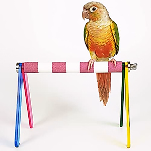 Parrot Play Stand Portable Bird Training Perch Rough-surfaced Corundum and Stainless Steel 8" (Red)