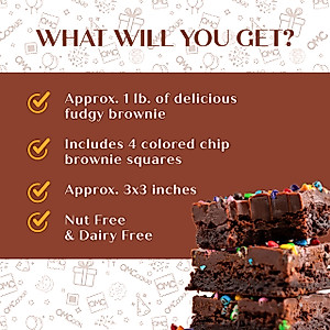 Gourmet Chocolate Brownies Gift Basket Cookie Gifts, Prime Corporate for Men Women Birthday Anniversary Get Well Soon | Nut Free