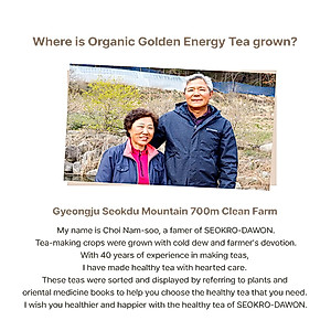 CYSO Seokrodawon 100% Korean Organic Daikon Fermented Tea Radish Beverage 100g | Rich in Vitamin C