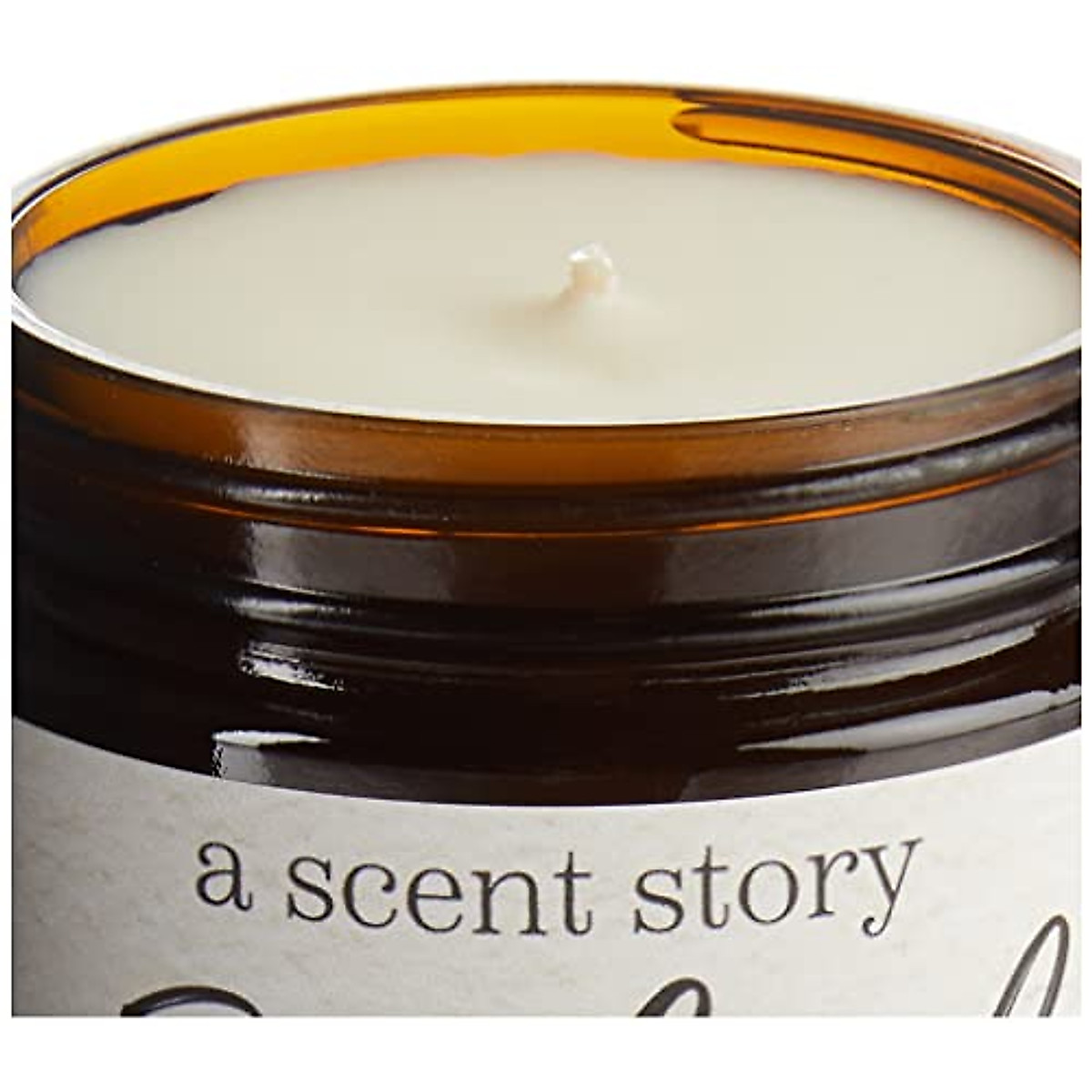 A Scent Story Candles, As I Slam My Book Closed, I Know I Didn't Read What I Thought I Did, Quote Candle, Scented Candle, Literary Candle, Booklover Gift
