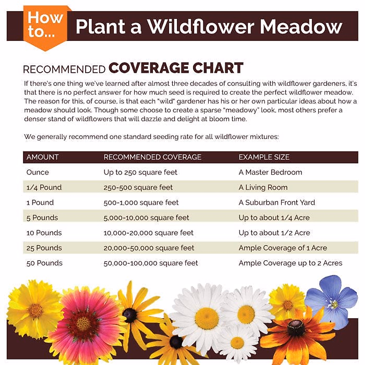 Midwest Wildflower Seed Mix - 1 Pound - Mixed Wildflower Seeds, Attracts Bees, Attracts Butterflies, Attracts Hummingbirds, Attracts Pollinators, Easy to Grow & Maintain, Cut Flower Garden