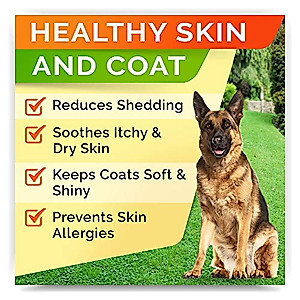 Fish Oil Omega 3 Treats for Dogs - Allergy and Itch Relief - Skin and Coat Supplement - Joint Health - Wild Alaskan Salmon Oil - Shedding, Itchy Skin Relief - Omega 3 6 9 - EPA & DHA - 180 Treats