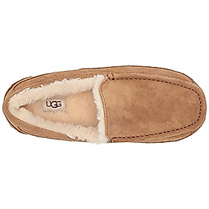 UGG Men's Ascot Slipper, Chestnut, 12 M US