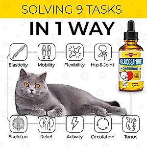 Cat Joint Supplement ✿ Glucosamine for Cats ✿ Joint Supplement for Cats ✿ Cat Glucosamine ✿ Chondroitin and Glucosamine Combination for Cats ✿ Cat Hip and Joint Supplements ✿ 2 Oz