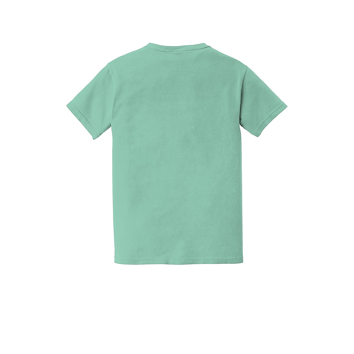 Comfort Colors Men's Adult Short Sleeve Pocket Tee, Style 6030 (Large, Chalky Mint)