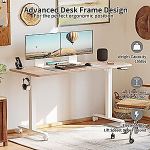 BANTI B-DJ-55MP Standing Desk, 55 inch, Maple