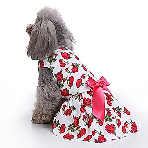 Dog Dresses Thin Princess Dress Bowknot Floral with Elegant Ribbon Skirt Pet Clothes for Small Dogs on Wedding Holiday Birthday (S)