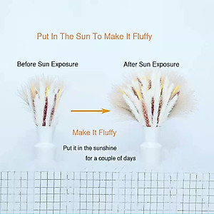 Pampas Grass 100Pcs Dried Pampas Grass Decor Fluffy Pompous Grass Mini Dried Flower Bouquet for Boho Home Decor