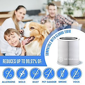 G6 Wellness H13 HEPA 1-Pack Replacement Filter Set Compatible with Clorox 11010 Air Purifier | 3 in 1 Filtration | Medical Grade True HEPA Filter H13 | Activated Carbon | Pre-Filter | 99.9% removal