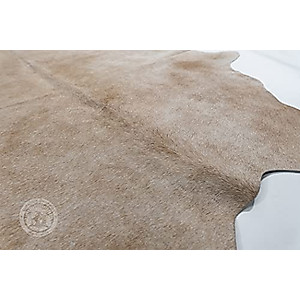 Genuine Palomino White and Beige Cowhide Rug 6 x 7-8 ft. 180 x 240 cm