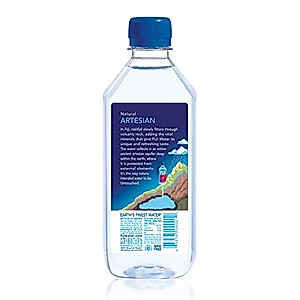 FIJI Natural Artesian Water, 16.9 Fl Oz (Pack of 24)