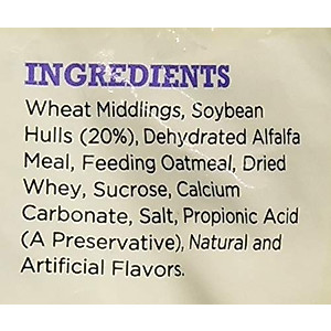 Manna Pro Mini-Pig Treats | Berries & Cream Flavor | 4 lb