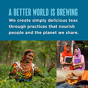 Teatulia Unsweetened Signature Black Organic Iced Tea Cans | 12 Slim 12oz Cans | Still Cold Brewed Sugar-Free Tea Caffeinated