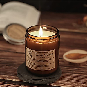 BSitVoik Candles for Home Scented Aromatherapy Candle 7 OZ Long Burning Jar Soy Wax Candles for Valentine Birthday Monday's Day (Lavender)