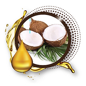 6-PACKS Kiss Broadway Clear Lip Gloss (Coconut Oil)