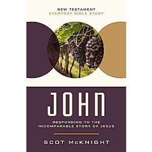 John: Responding to the Incomparable Story of Jesus (New Testament Everyday Bible Study Series)
