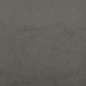 vidaXL Box Spring Bed with Mattress Home Bedroom Mattress Pad Single Bed Frame Base Foam Topper Furniture Dark Gray 39.4"x79.9" Twin XL Velvet