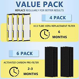 FLT4825 HEPA Filter B Replacement for Guar.dian Air Purifier AC4825 AC4300 AC4800 AC4900 AC4850, 4 HEPA Filter and 6 Pre-Filter