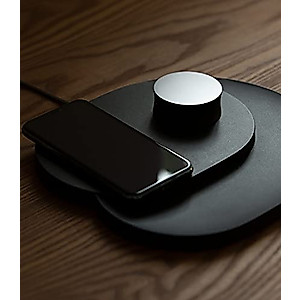 Phiaton ODDICT TWIG True Wireless Earbuds, EQ App, Bluetooth Earbuds with Silicone Tips, Wireless Quick Charging, Touch-Control, Dual 12mm Carbon Drivers, Aluminum Gray