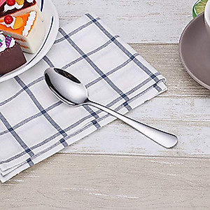 6.7 Inches Stainless Steel Spoon,Set of 6,Use for Home, Kitchen or Restaurant