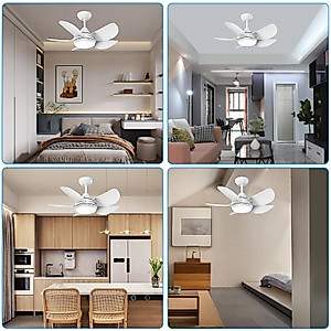 CJOY Ceiling Fans with Lights, 30 inch Small White Ceiling Fan with Light and Remote, LED Dimmable & Memory Function, 5 ABS Reversible Blades Fan Light for Kids Bedroom/Sloped Ceilings