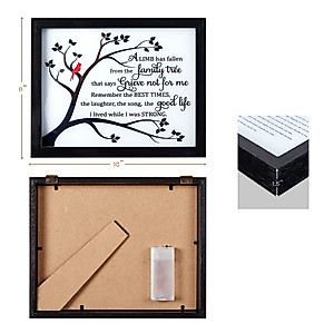 WOODEXPE Sympathy Gift LED Memorial Shadow Box Memorial Gifts for Loss of Loved One - A Limb Has Fallen
