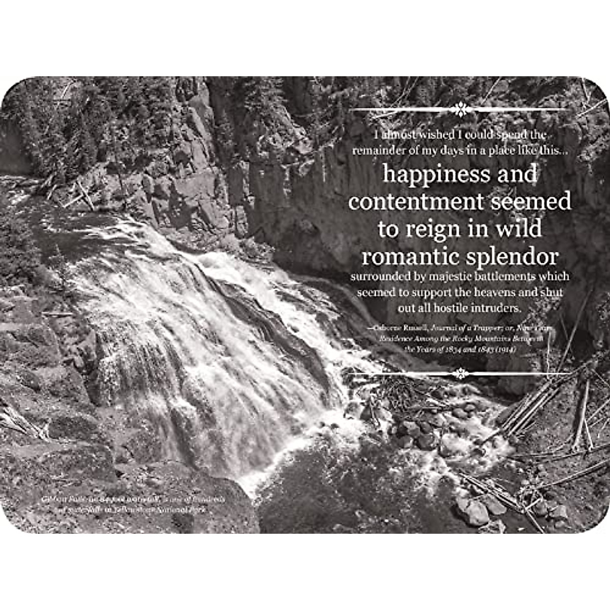 The Yellowstone National Park Signature Notebook: An Inspiring Notebook for Curious Minds (The Signature Notebook Series)