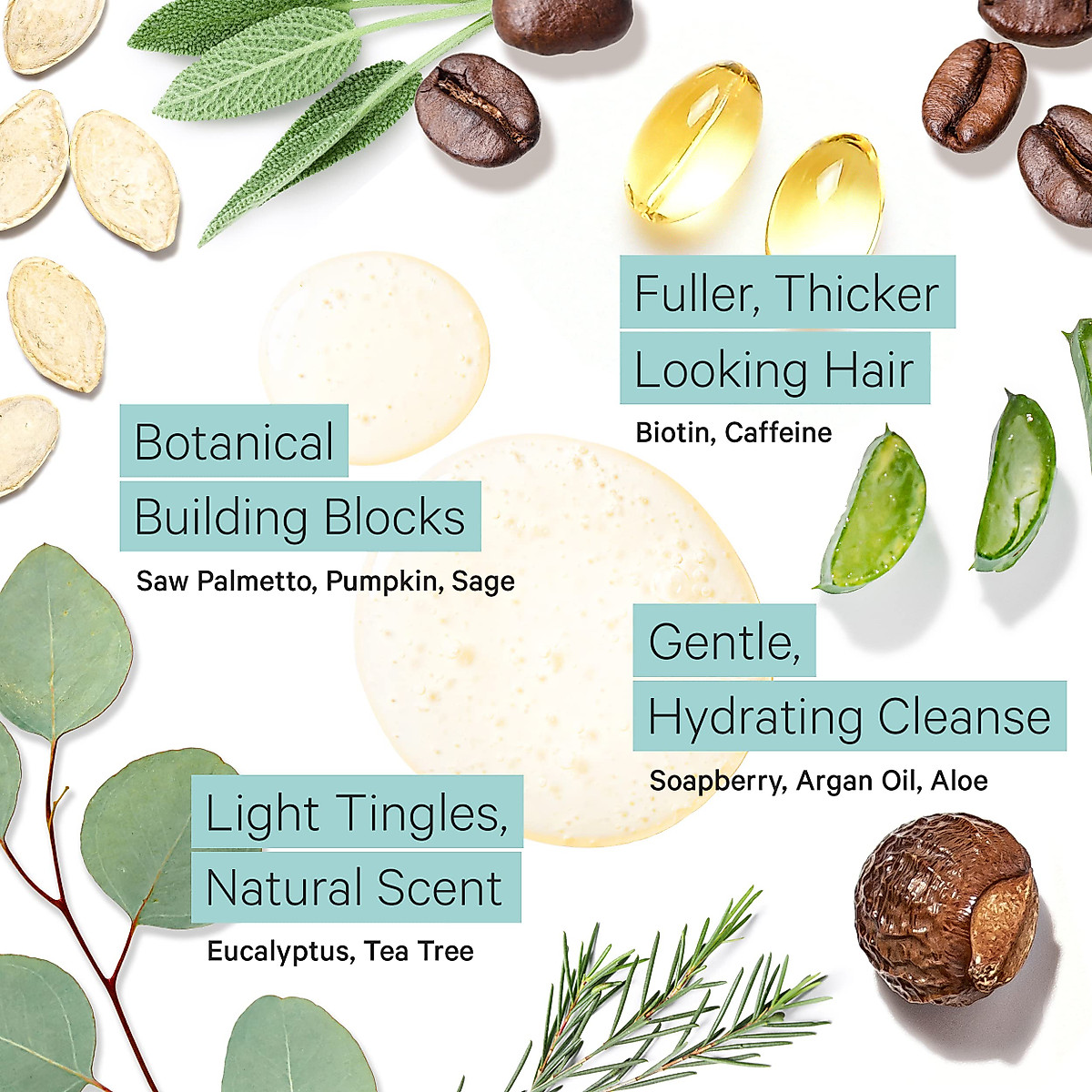 Tree To Tub Biotin Fine Hair Thickening Shampoo for Thicker, Fuller Volume - Gentle Volumizing Sulfate Free Argan Oil Shampoo for Women & Men w/Caffeine, Organic Saw Palmetto, All Natural Tea Tree