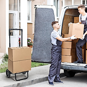 KEDSUM 2 in 1 Shopping Cart for Groceries, 330 lbs Luggage Cart, Portable Utility Shopping Cart with Wheels, Heavy Duty Grocery Cart, Dolly with a Black Removable Waterproof Bag for Moving, Camping