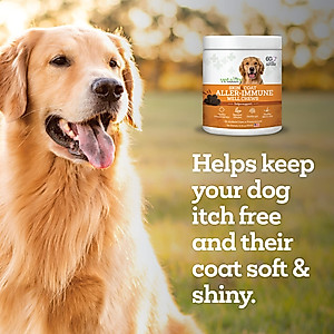 Vetality Well Chews | Soft Chew Supplements for Dogs | 60 Count | Made in USA (Skin + Coat)