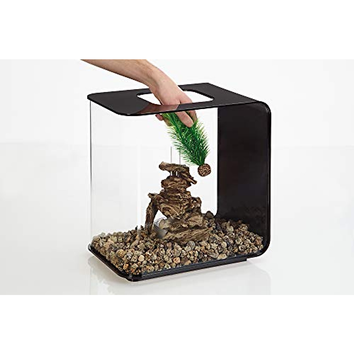 biOrb 46083.0 Feather Fern Set Small Green Aquariums