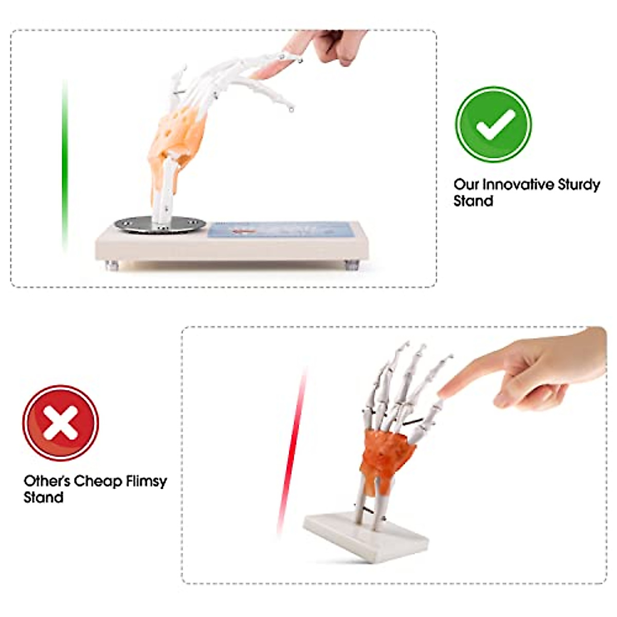 Ultrassist Human Hand Joint Model with Ligaments, Flexible 1:1 Scientific Life Size with 360° Rotatable Wooden Display Base, Includes Anatomy Diagram Best for Patient Education & Medical Training
