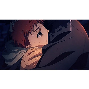 Fate / Stay Night [Realta Nua] Playstation Vita the Best Limited Benefits "Another Special Jacket" With