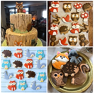 Woodland Animal Cookie Cutter Set - 10 Piece - Squirrel, Owl, Koala, Sloth, Raccoon, Fox, Hedgehog, Bird, Bunny, Mushroom Animal Cookie Cutters Shapes Biscuit Fondant Molds for Kids - Stainless Steel