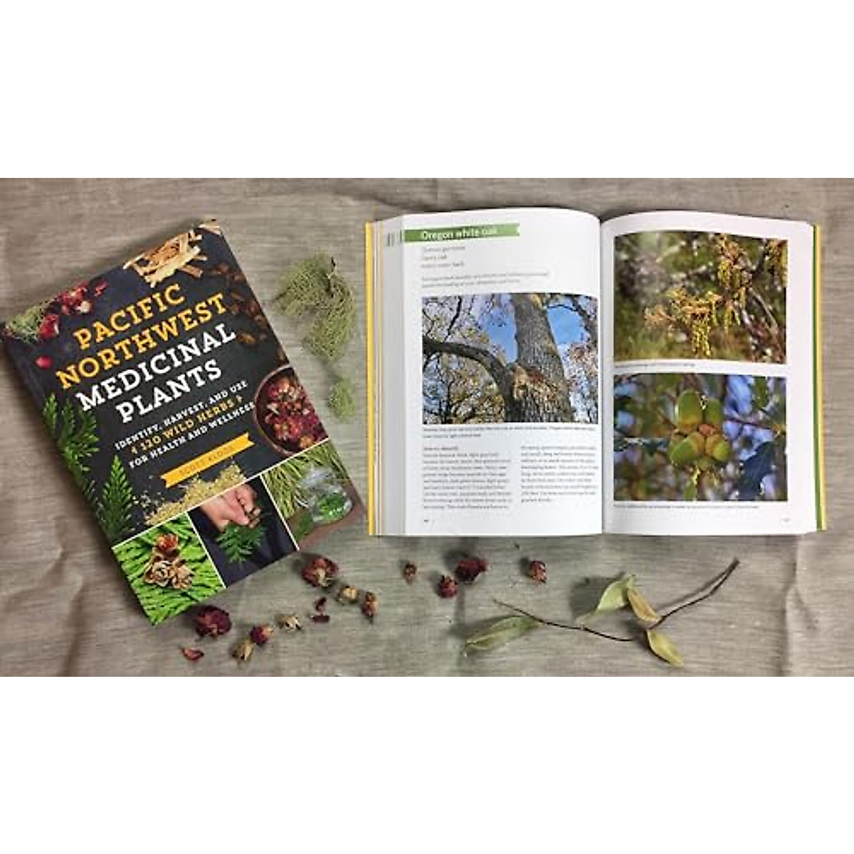 Pacific Northwest Medicinal Plants: Identify, Harvest, and Use 120 Wild Herbs for Health and Wellness (Medicinal Plants Series)