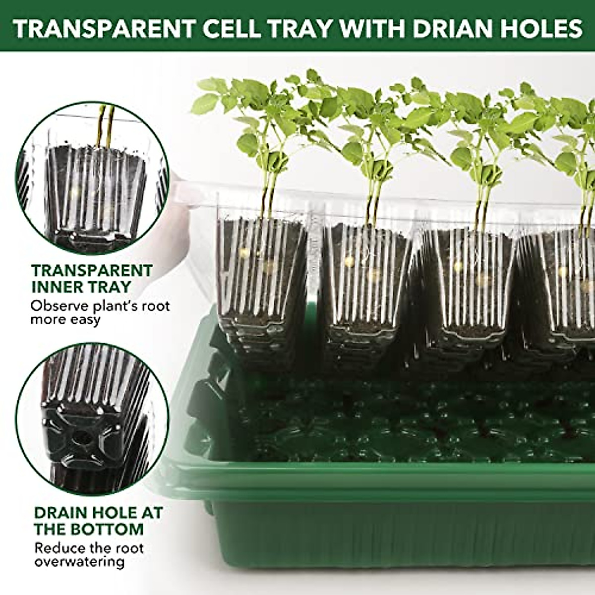 YAUNGEL Seed Starting Trays, XL Thicken Seed Starter Tray Kit with Humidity Dome Durable Growing Trays for Greenhouse & Gardens, 4 Pack 160 Cells, Green
