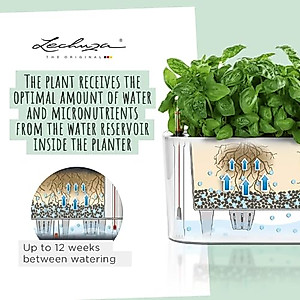 Lechuza 15460 Delta 10 Indoor and Outdoor Use, 12" x 4" x 5", Self Watering Planter, 30cm, White High Gloss