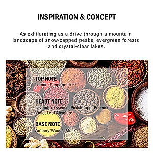 Bentley Silverlake by Bentley Eau De Parfum Spray 3.4 oz