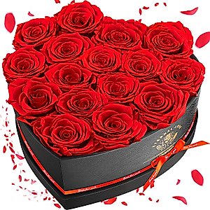 Impouo 16 Preserved Flower, Fresh Forever Roses in Heart Shape Box, Eternal Roses, Birthday Gifts for Women, Wife, Her, Mother's Day, Valentine's Day-Red Roses