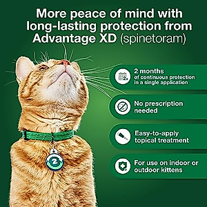 Advantage XD Small Cat Flea Prevention & Treatment For Cats 1.8-9lbs. | 1-Topical Dose, 2-Months of Protection Per Dose